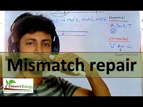 Mismatch repair - YouTube