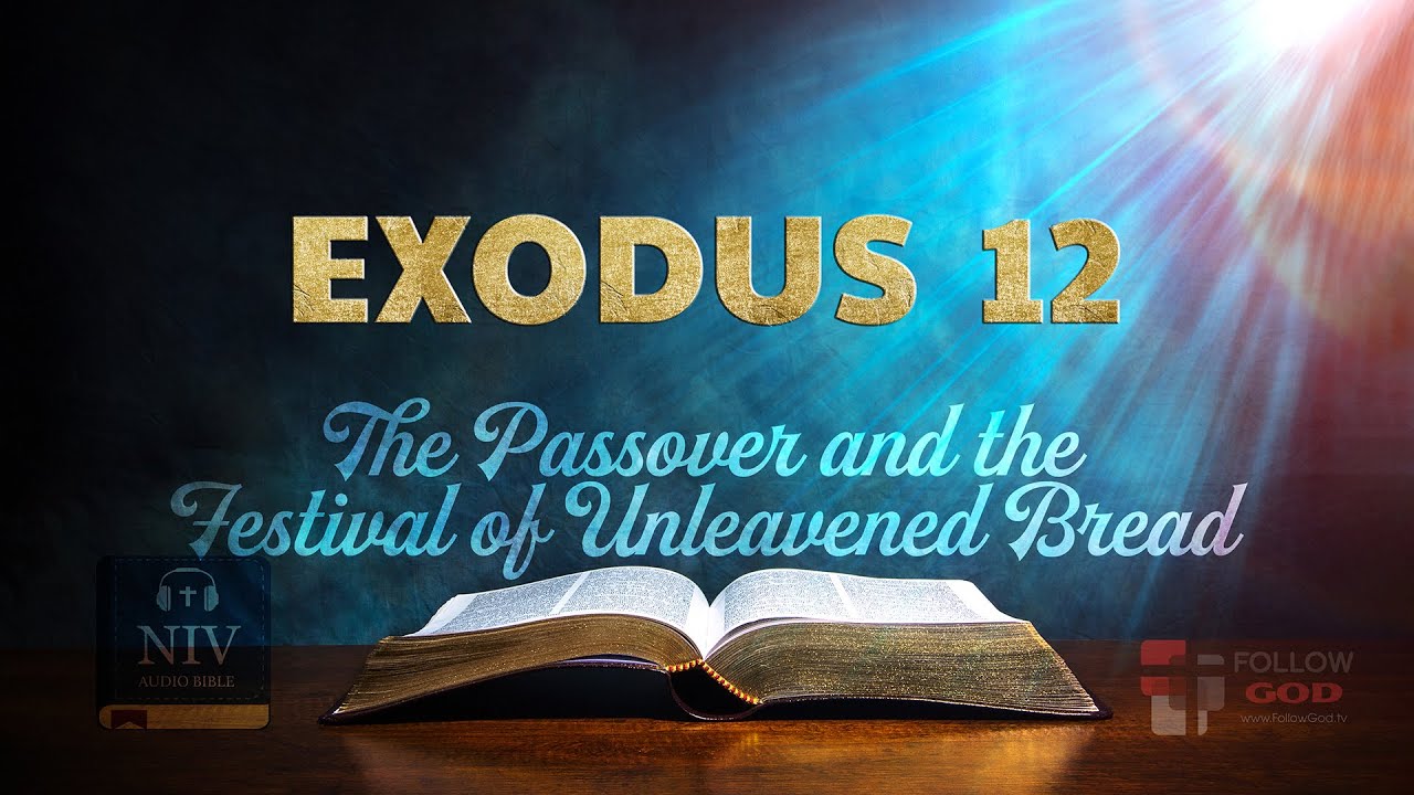 The Book of Exodus | Chapter 12: The Passover and the Festival of ...