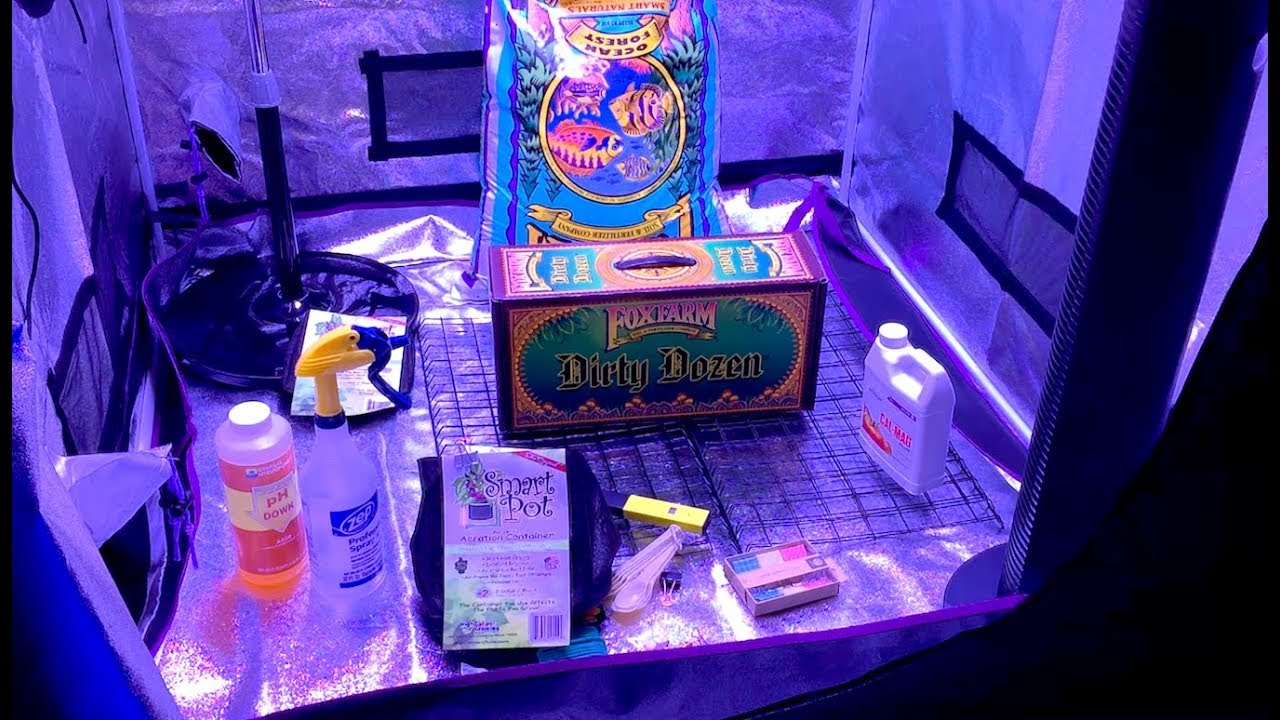 Small Indoor Weed Grow Room Tour by GreenBox Grown - YouTube