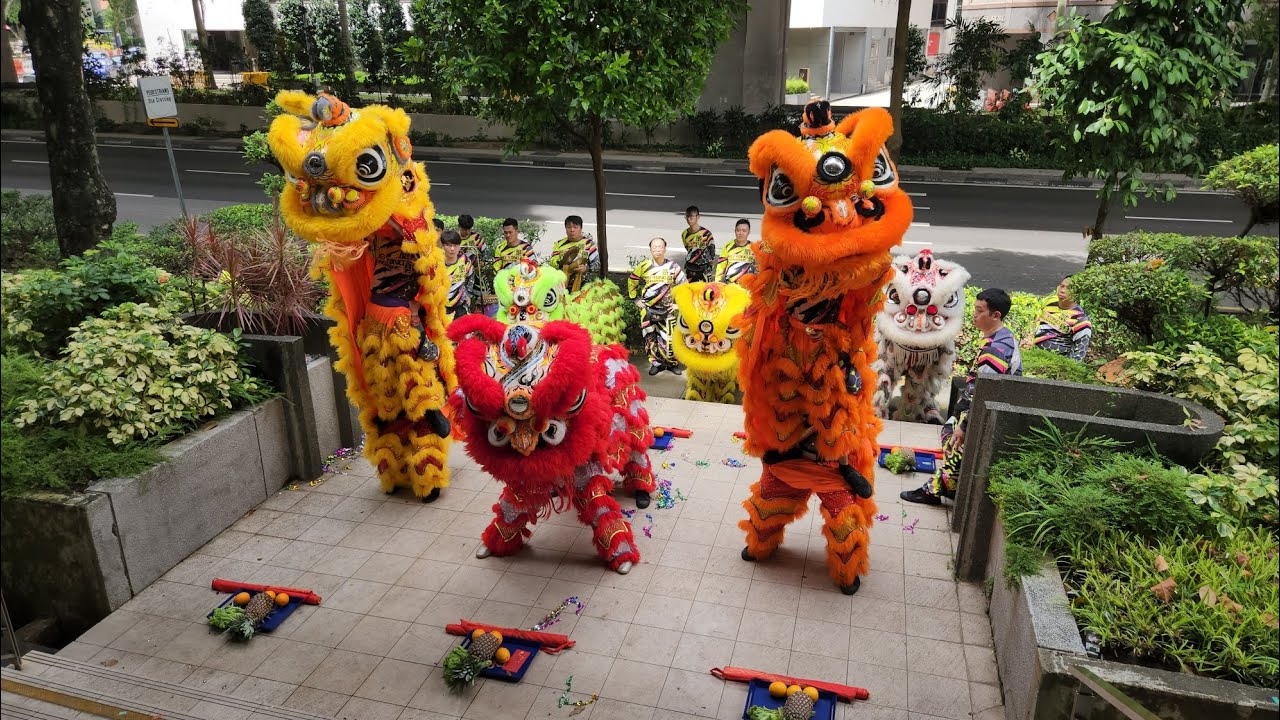 新加坡威勇體育會 Singapore Wei Yong Big Flag, War Drums, Dragon & Lion Dance ...