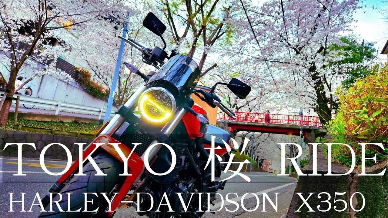 [花見ツーリング]4K TOKYO SAKURA Motorcycle Ride/東京城南お花見ライドby Harley-Davidson ...