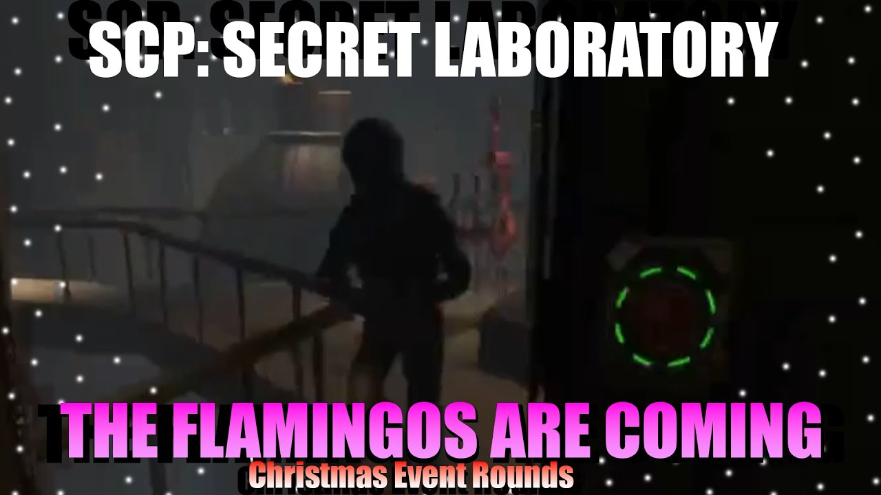 THE FLAMINGOS ARE COMING - SCP:Secret Lab - YouTube
