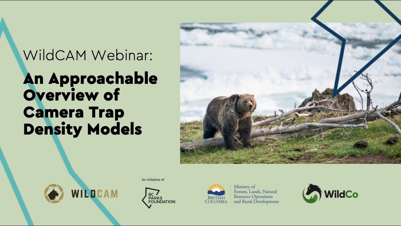 WildCAM Webinar: An Approachable Overview of Camera Trap Density Models ...