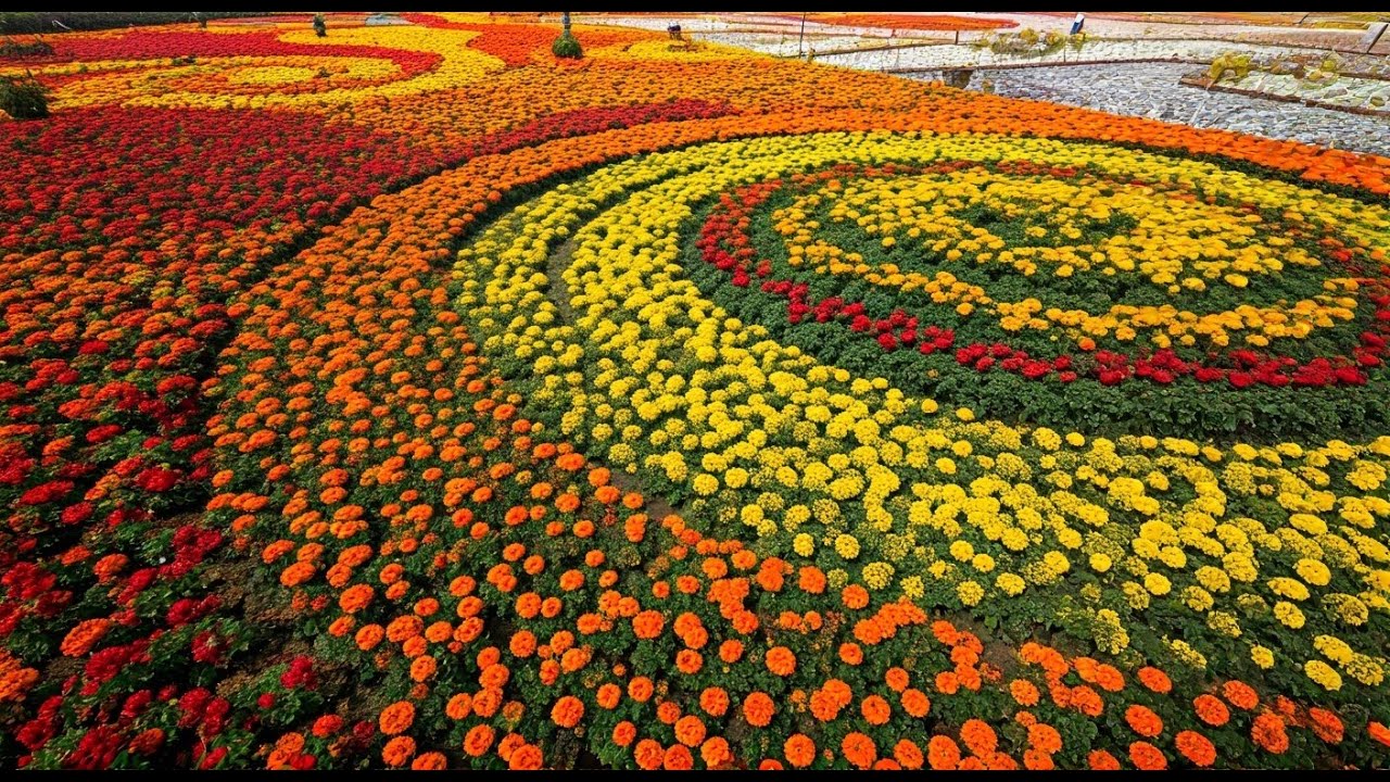 India Travelers to World – Discover the Magic of Basant Utsav 2025 ...
