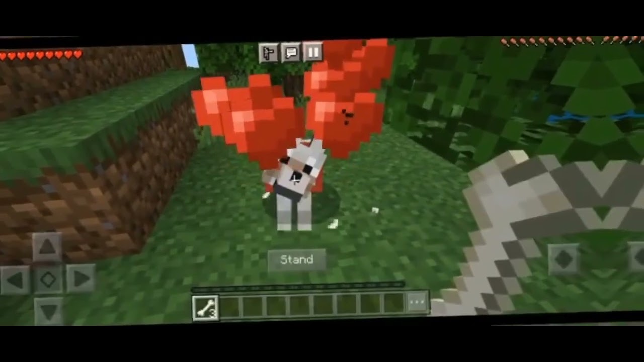 my pet in Minecraft - YouTube