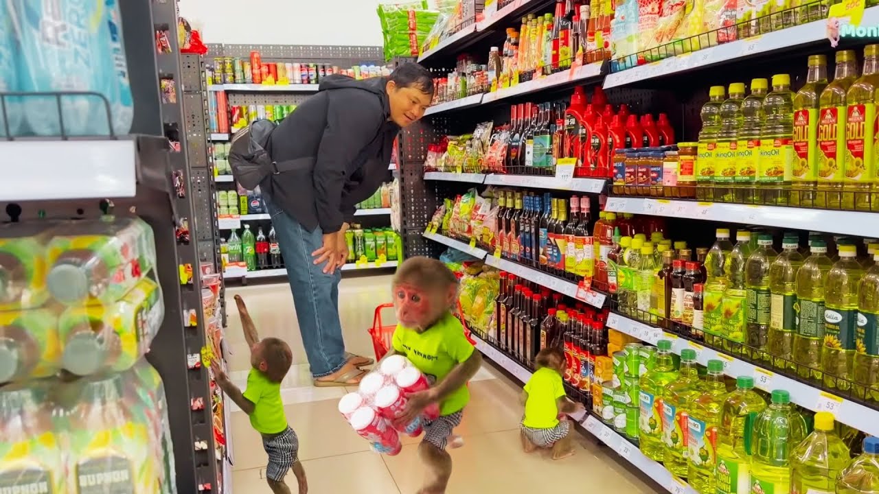 Smart Little Monkey Takes Care of the Baby — Then Goes Shopping with ...