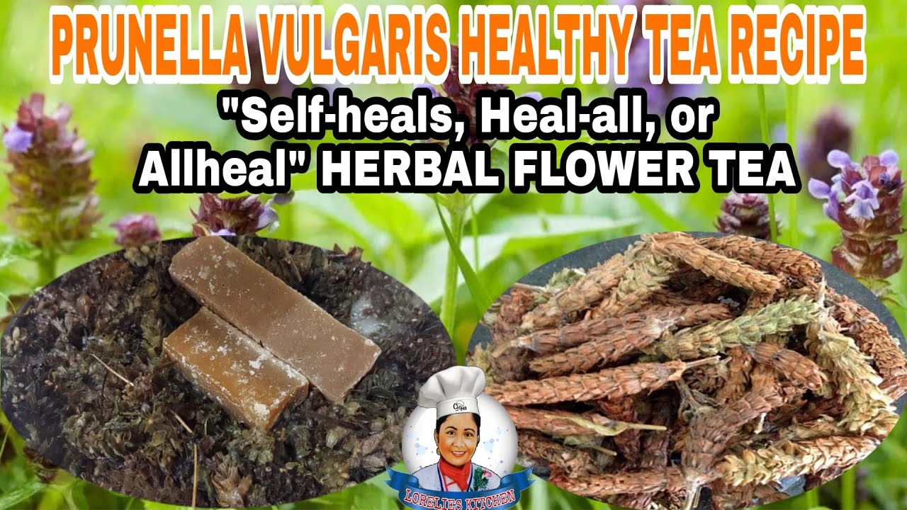 PRUNELLA VULGARIS HEALTHY TEA RECIPE "self-heals, heal-all, or allheal ...