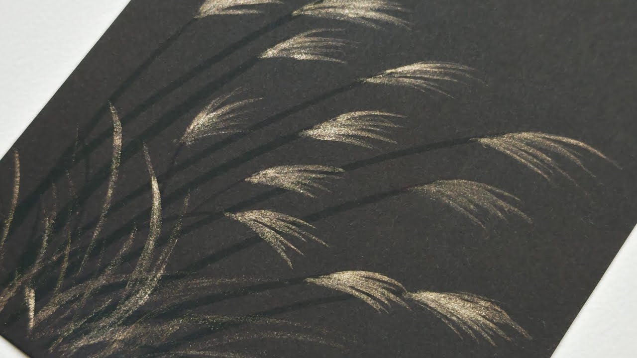 すすき 最も簡単な描き方 Pam pas grass - YouTube