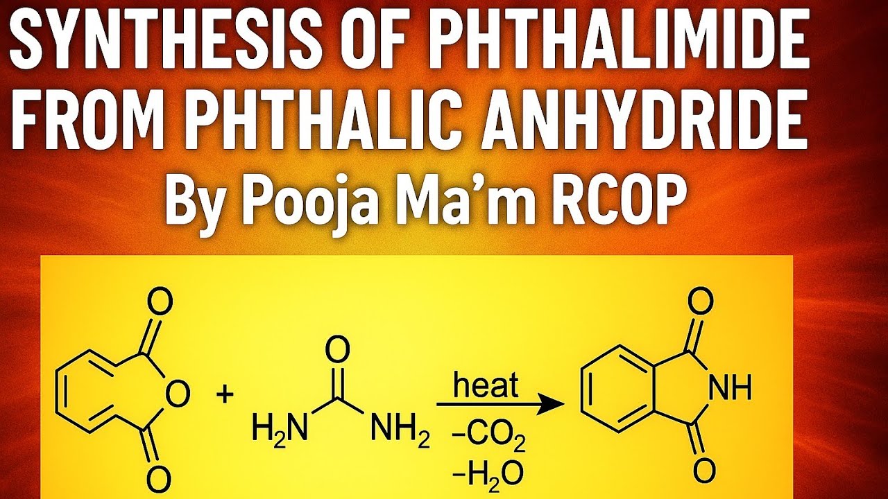 Synthesis of Phthalimide from Phthalic Anhydride | By Pooja Ma’am RCOP ...