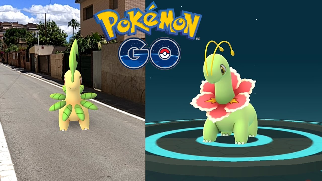 ¿DOBLE NIDO? CHIKORITA Y ZUBAT A SACO! EVOLUCIONANDO! [Pokémon GO ...