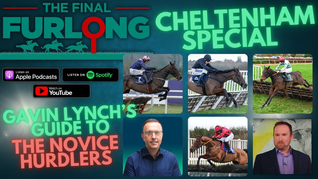 Cheltenham Novice Hurdle Cheat Sheet – Gavin Lynch’s Expert Guide! Best ...