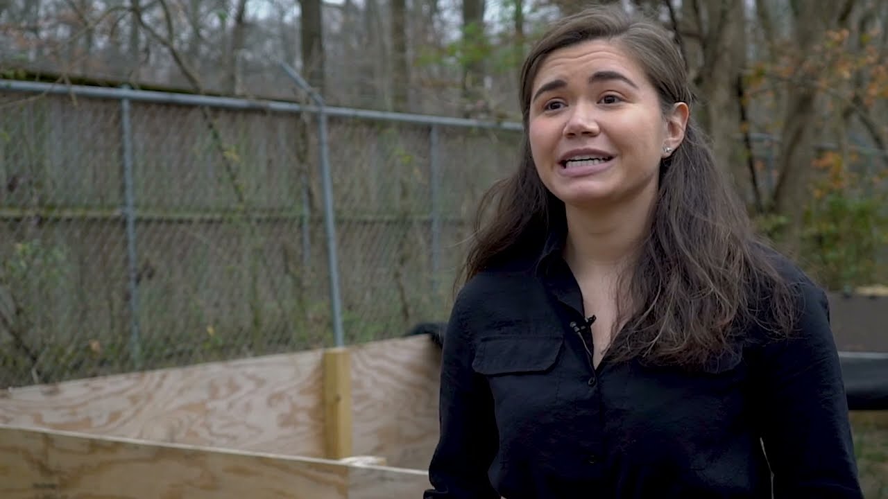 Saving A Species: Dusky Gopher Frog - YouTube