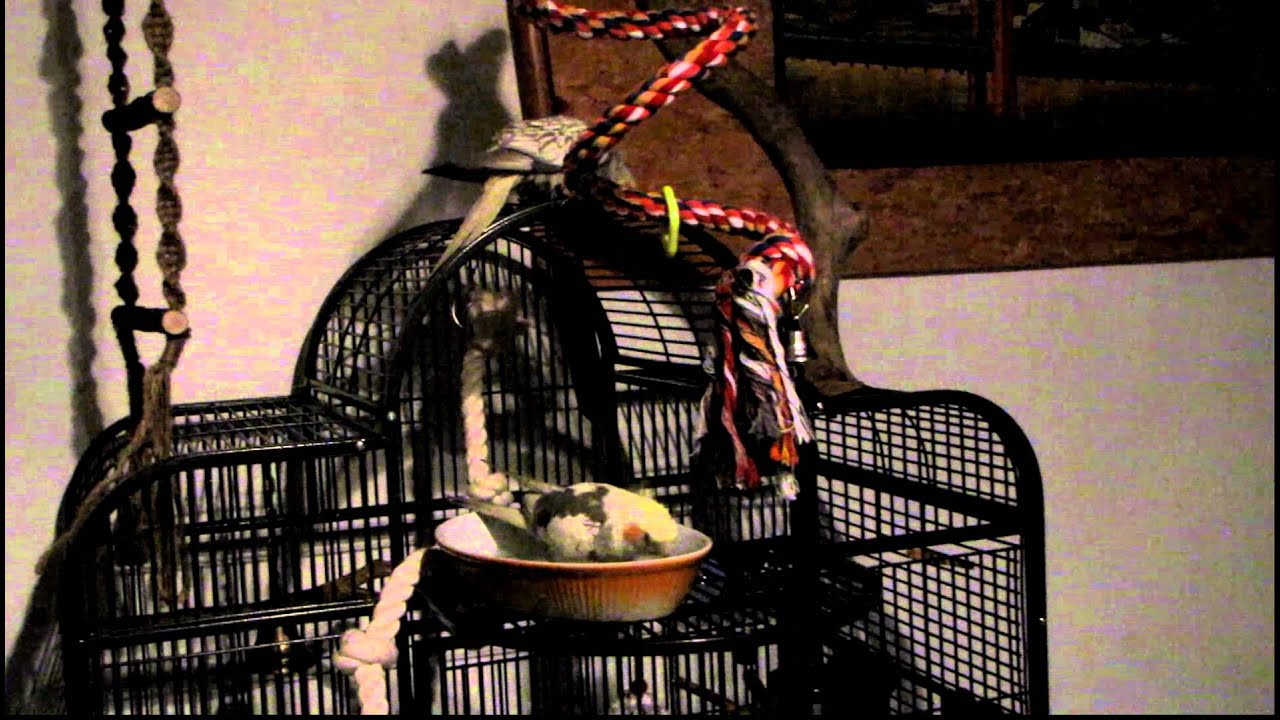 Badespaß (2/2) (26.12.11).MOV - YouTube