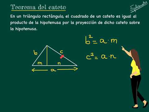 Teorema del cateto - YouTube
