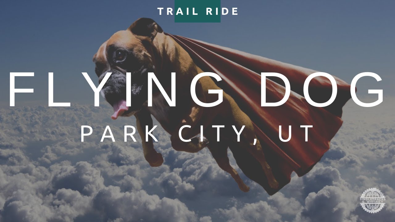 Flying Dog Big Loop | Park City, UT | Mountain Biking - YouTube