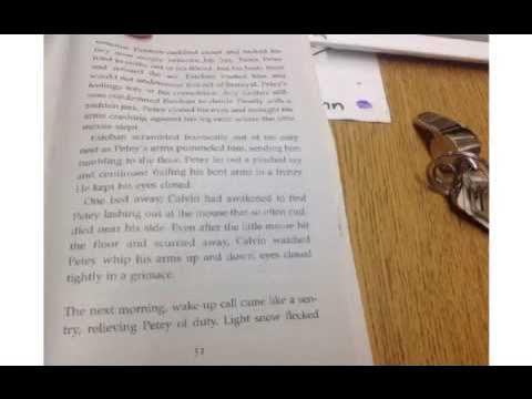 Petey By Ben Mikaelsen Chapter 6 - YouTube