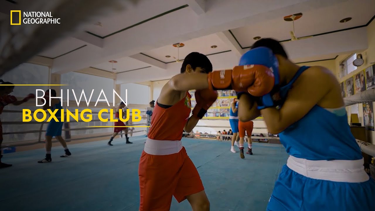 Bhiwani Boxing Club | It Happens Only in India | National Geographic ...