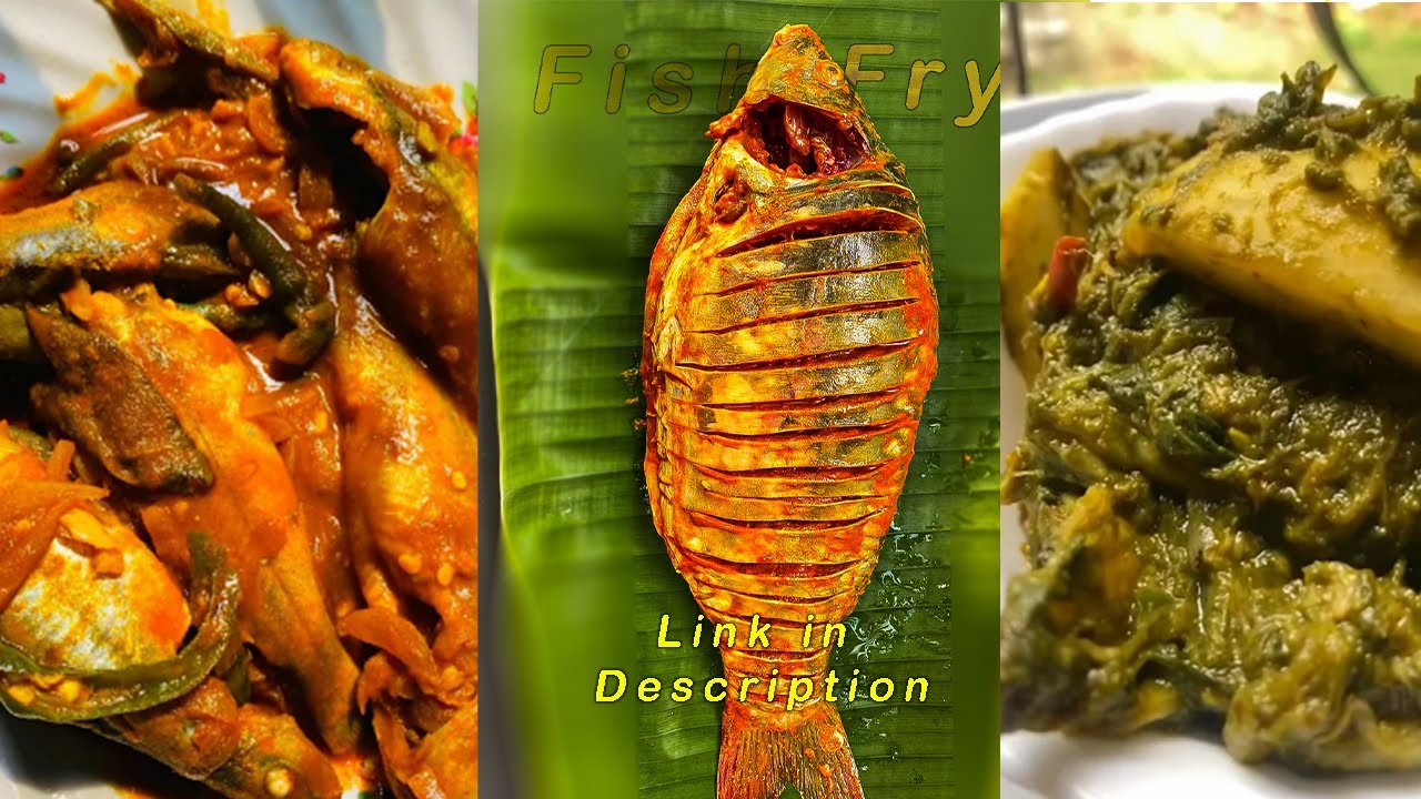 Fishing & Cooking|Ponda bd| - YouTube