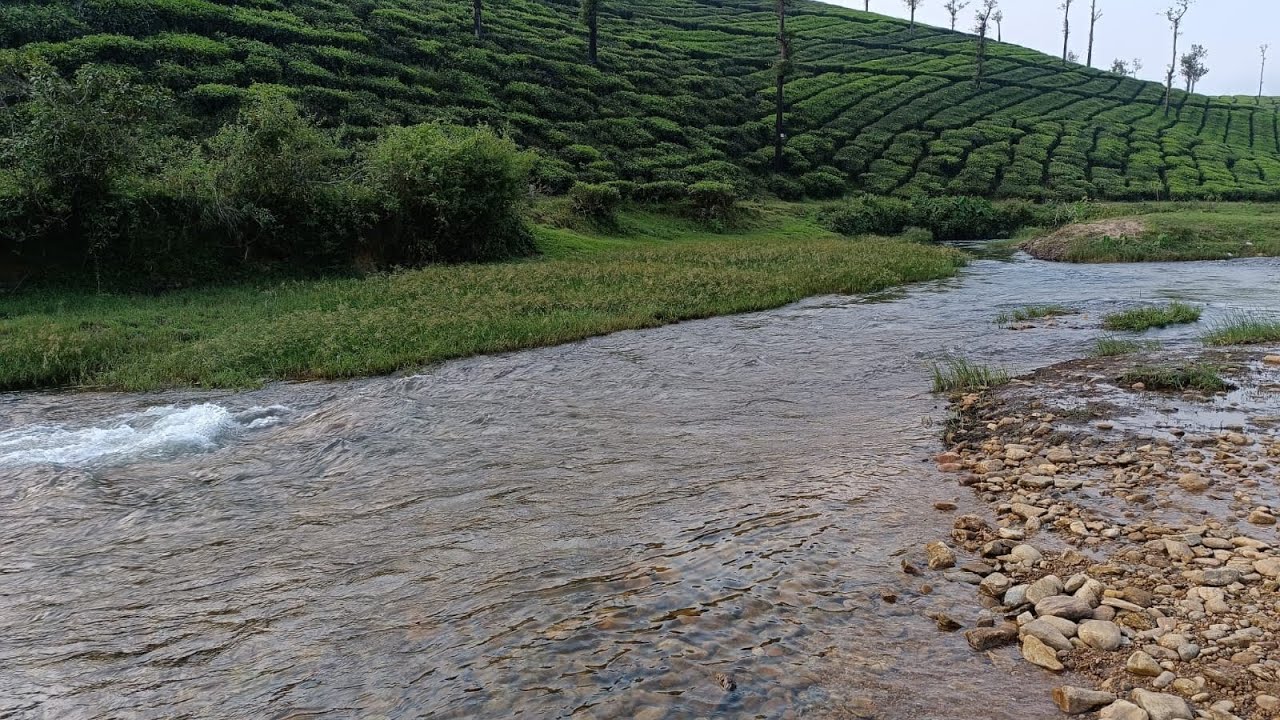 #koolangalriver #7thheaven #river #scenic #valparai - YouTube
