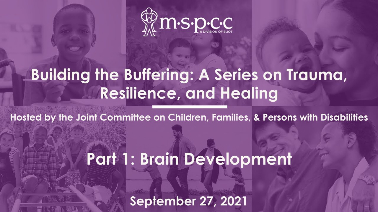 Building the Buffering: Brain Development - YouTube