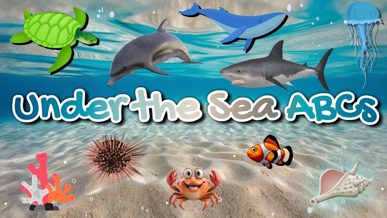 Under the Sea ABCs | Fun Toddler Alphabet Learning Video! - YouTube
