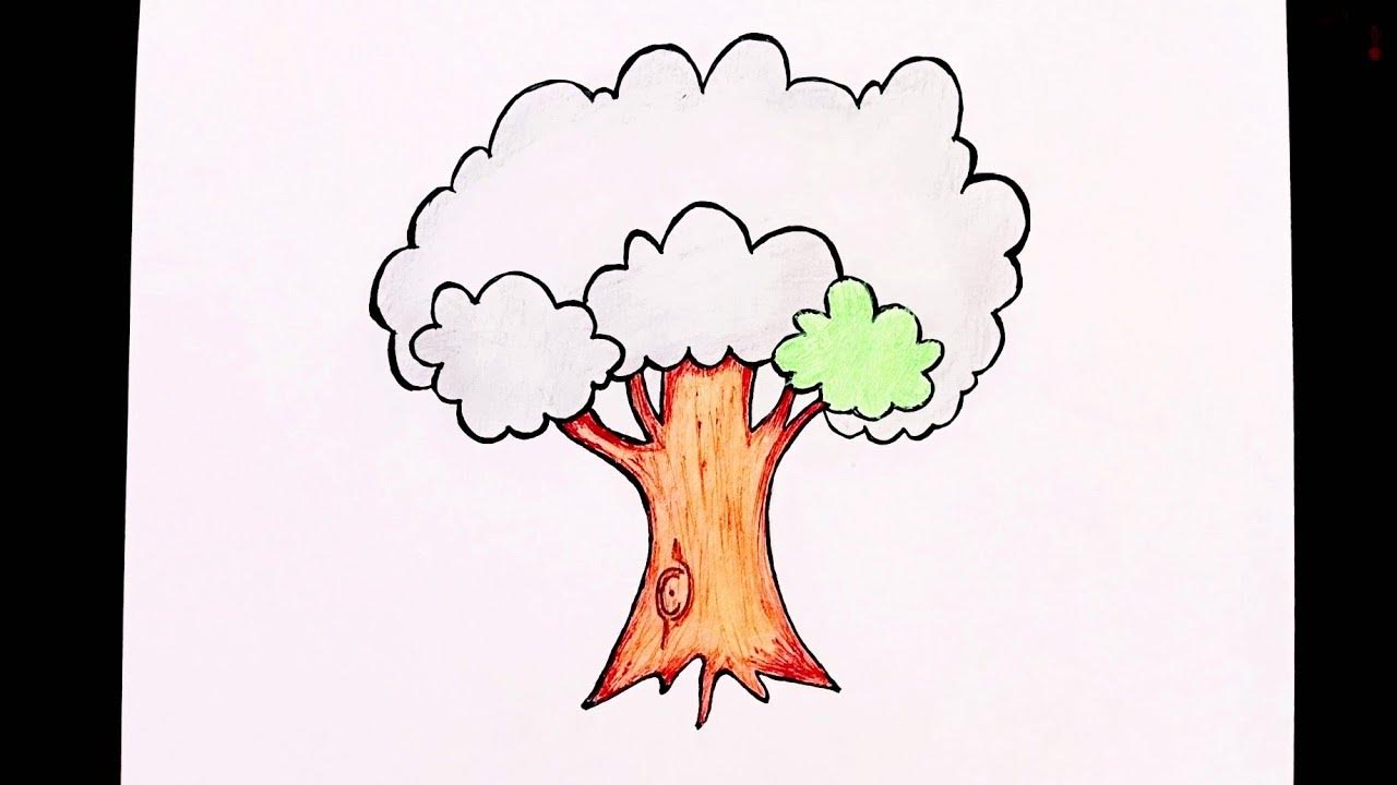 How to Draw a Simple Tree || Easy and Step by Step || Artation - YouTube