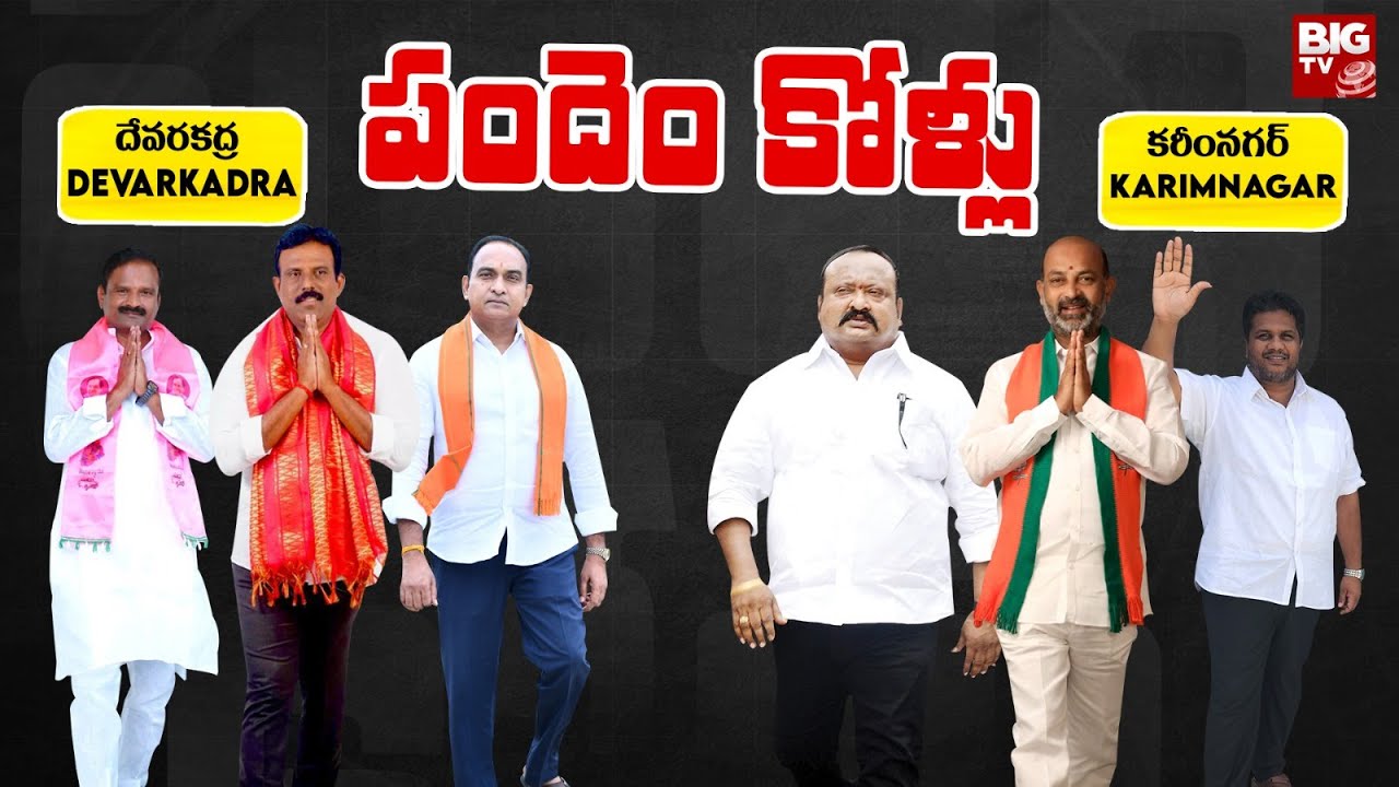 Karimnagar Constituency | Devarkadra Constituency | Telangana Elections 2023 | పందెం కోళ్లు ...