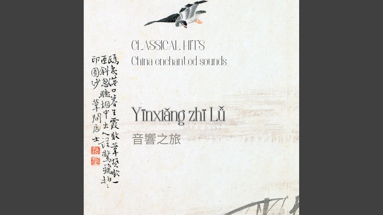 Sun Jinyang Guzheng - YouTube