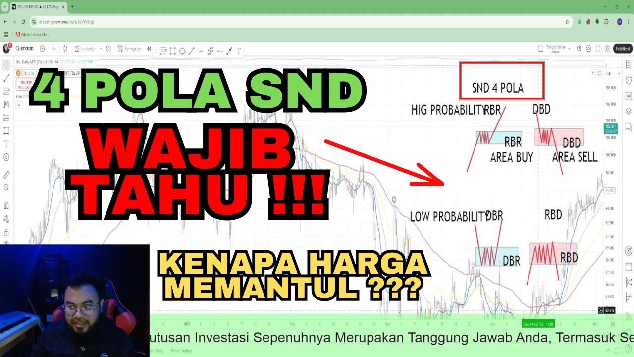 4 Pola SND yang WAJIB Dikuasai! Ini Alasan Kenapa Harga Bisa Memantul ...