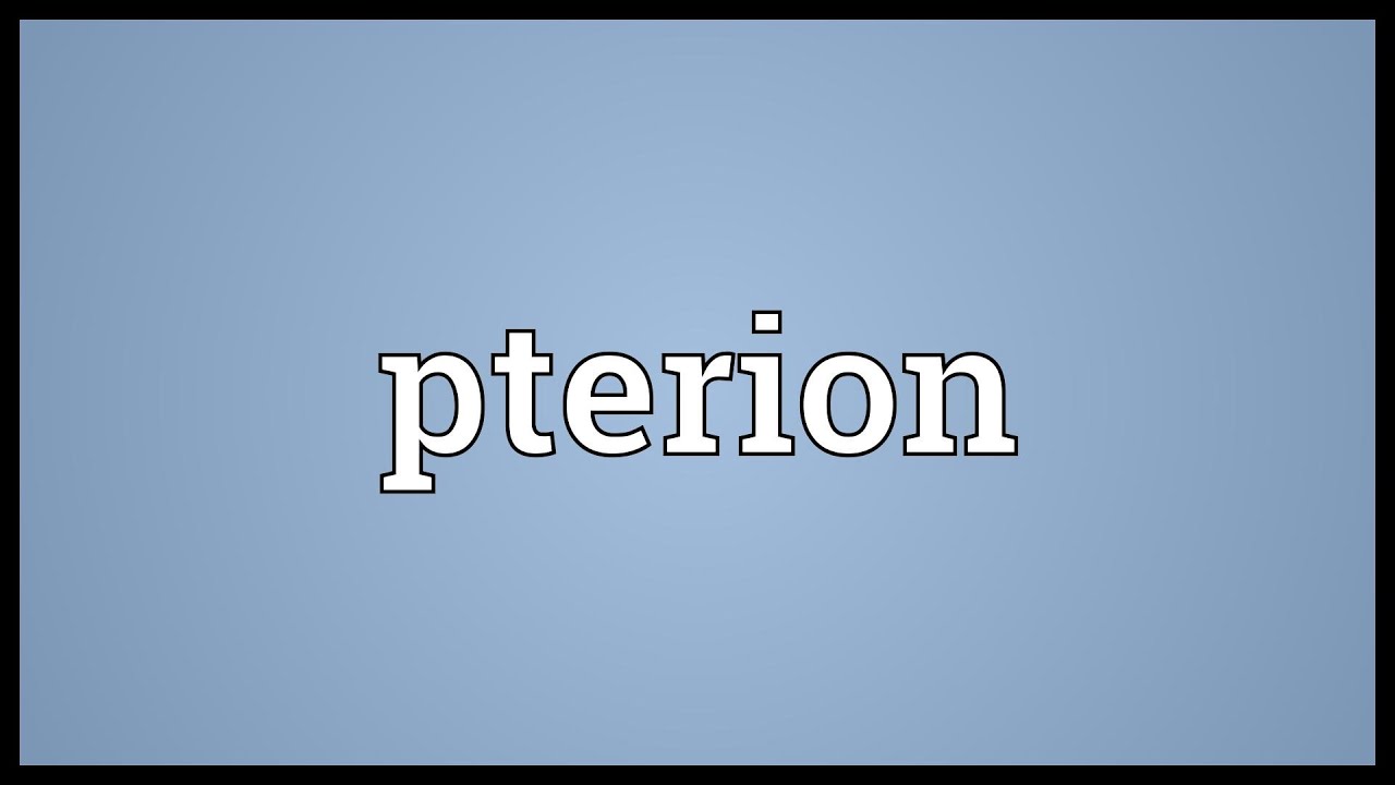 Pterion Meaning - YouTube