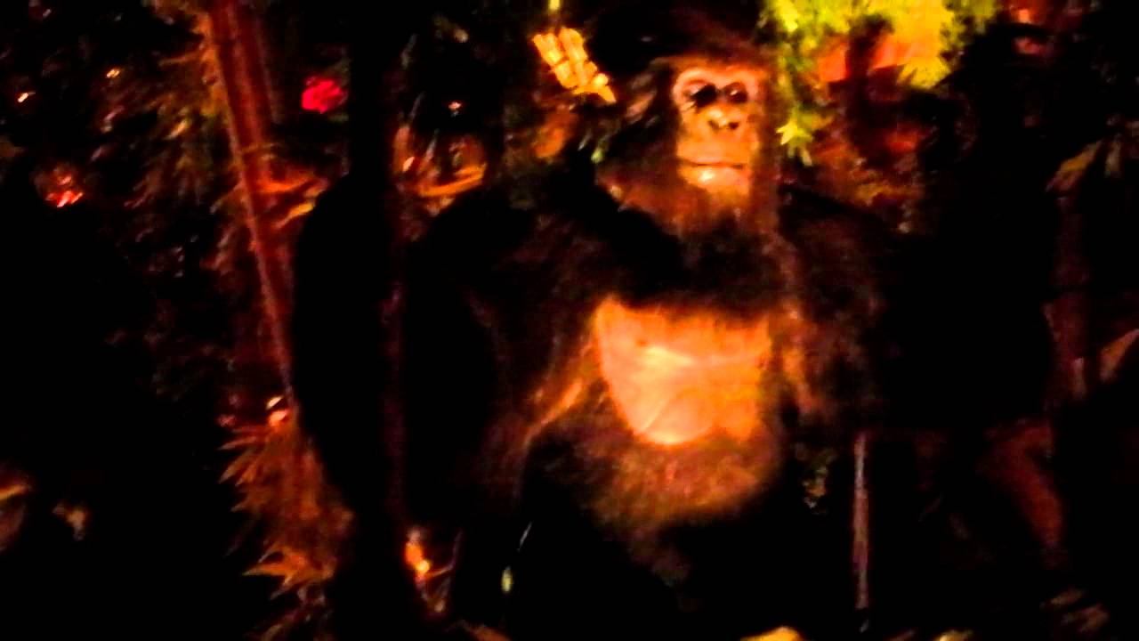 RAIN FOREST CAFE AT DISNEY WORLD ANIMAL KINGDOM - YouTube