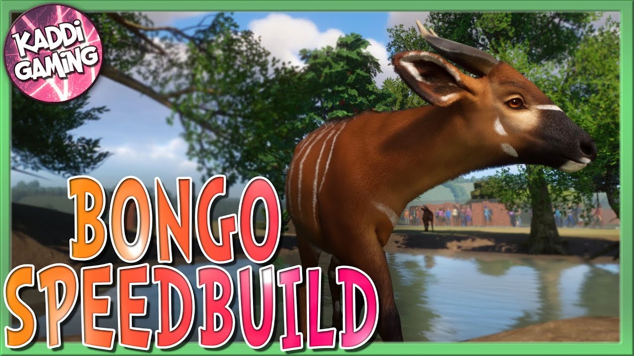 Bongo Speedbuild 🦓 Planet Zoo #7 - YouTube