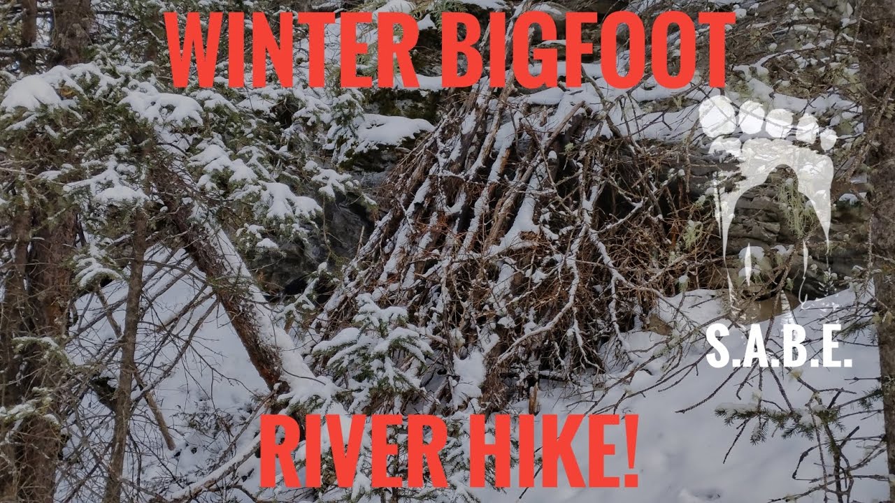 Winter Bigfoot River Hike! Return To The Den Site! - YouTube