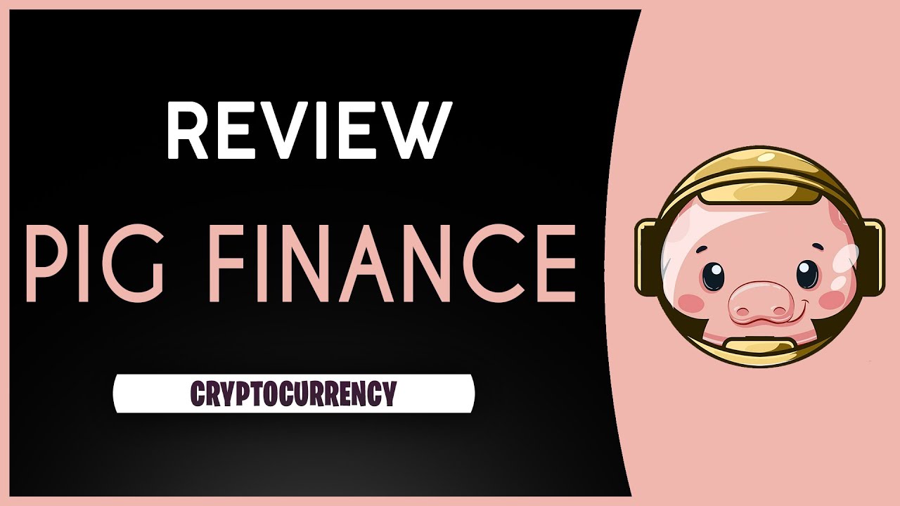 PIG FINANCE REVIEW | THE ORIGINAL BLACK HOLE TOKEN - YouTube