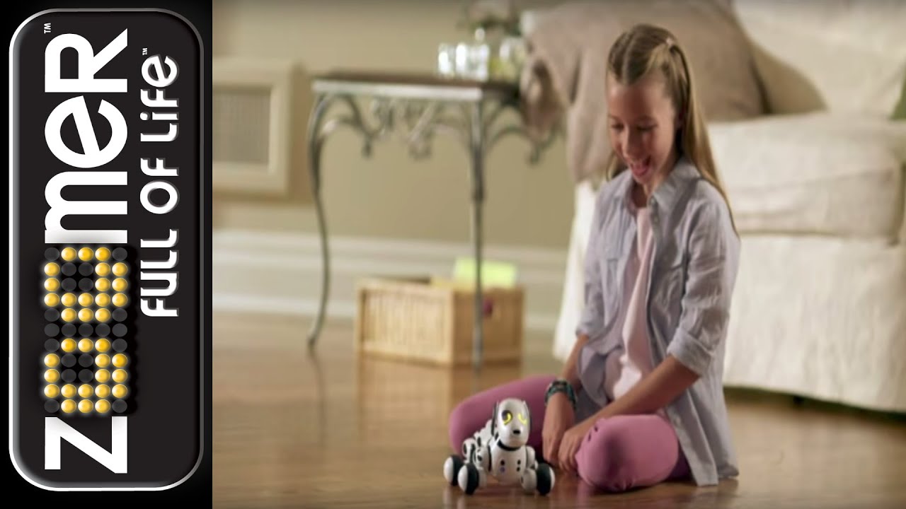 Zoomer | Zoomer Commercial | Behind The Scenes - YouTube