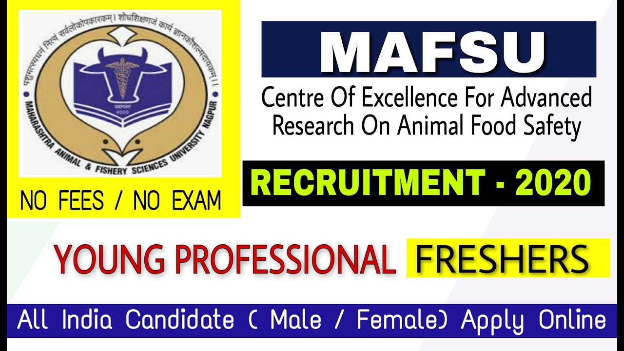 MAFSU Recruitment 2020 I Young Professional I Freshers I Apply Online I ...