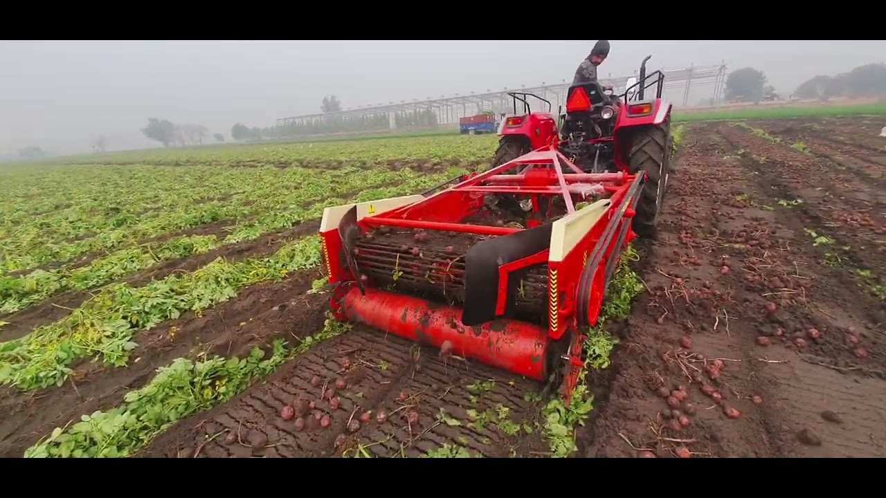 GREENMAX Potato digger Field Performance 9877869503 #farm #agriculture ...
