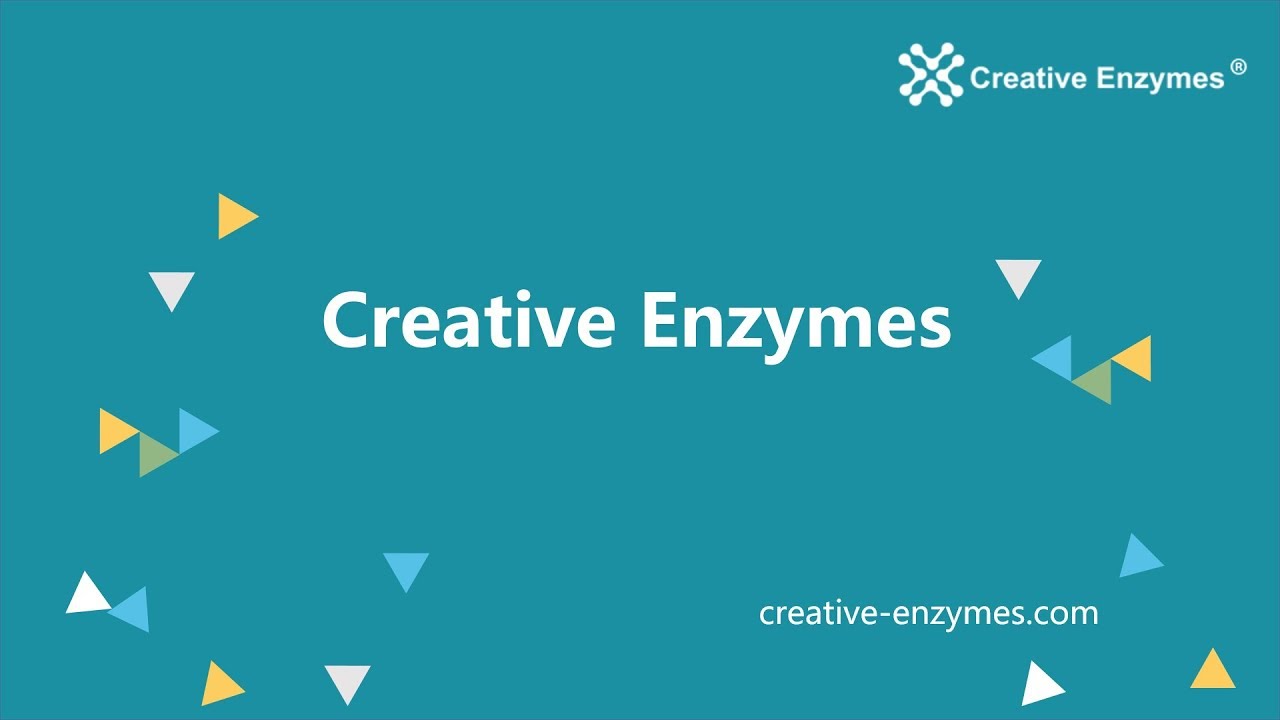 Creative Enzymes - YouTube