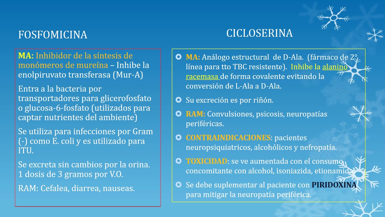 INHIBIDORES DE LA SINTESIS DE MONOMEROS DE MUREINA - YouTube