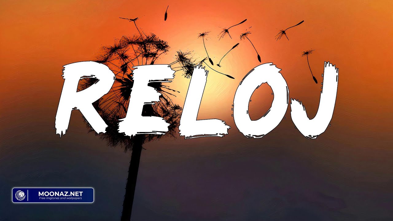 Rauw Alejandro - Reloj (Letra/Lyrics) | Peso Pluma - PRC - YouTube