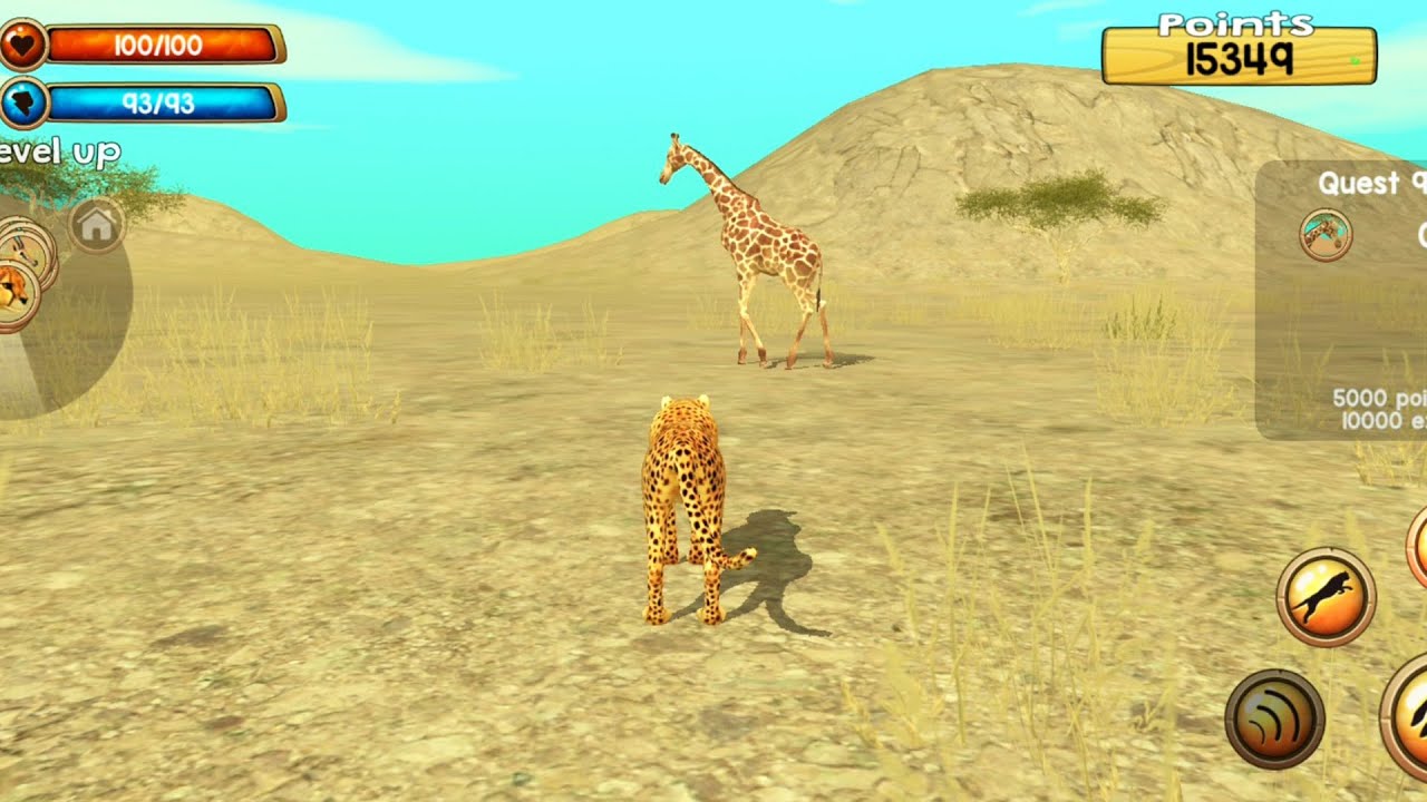 Wild Cheetah Sim - Cheetah Family Simulator 3D | Android GamePlay - YouTube
