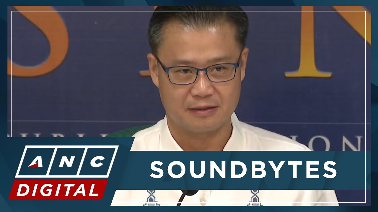 Gatchalian: Shiela Guo center of Guo family's business activities | ANC ...