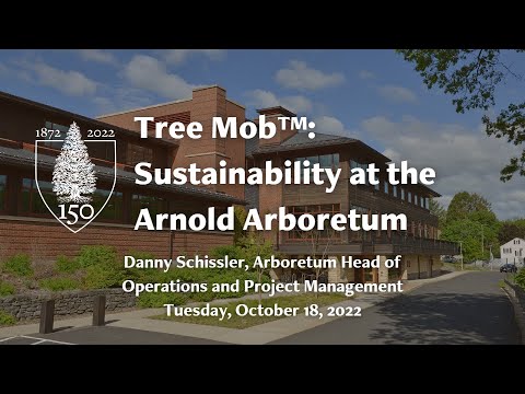 Tree Mob™: Sustainability at the Arnold Arboretum - YouTube