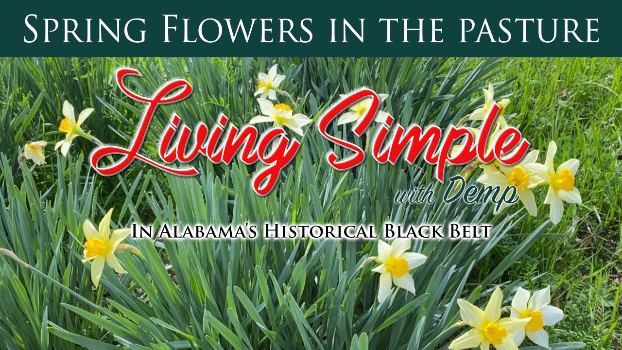 Spring Flowers in the Pasture - Living Simple with Demp - YouTube