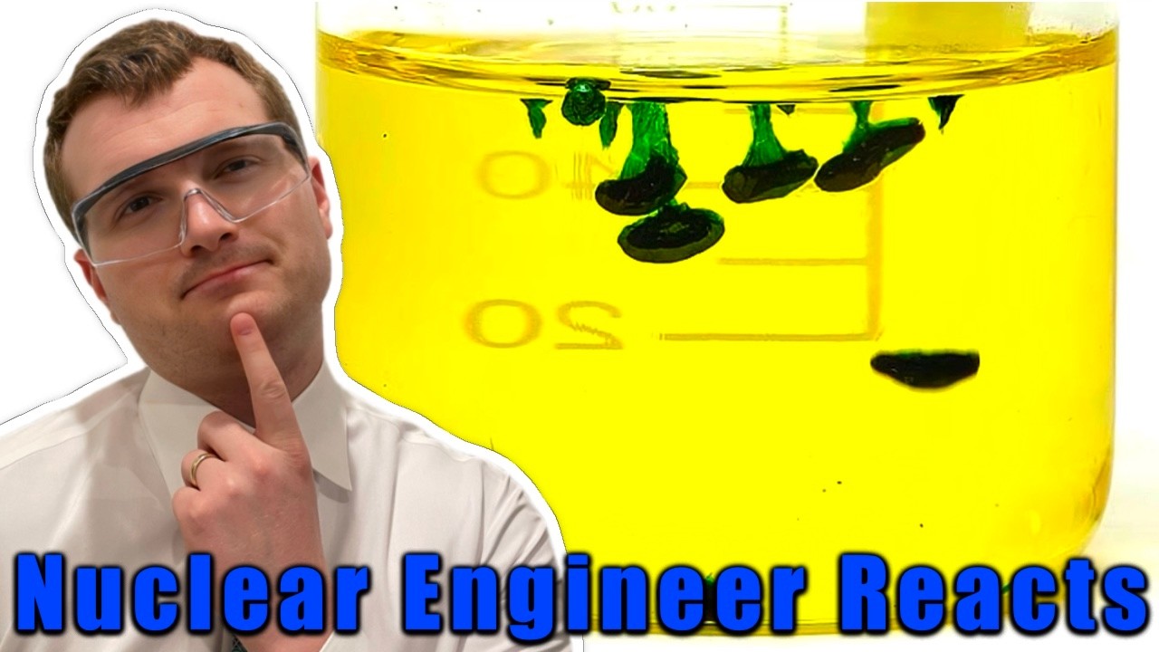 A Cure for Radiation Poisoning? - Nuclear Engineer Reacts to NileRed ...