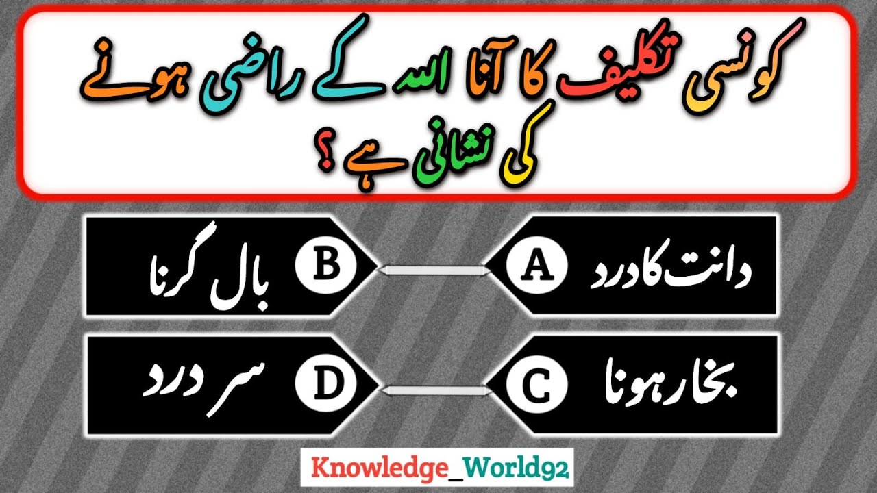 Top Islamic Question And Answer || Islamic Solved MCQs || Knowledge ...