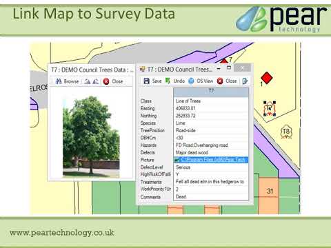 Pear Arb. Software showcase - YouTube