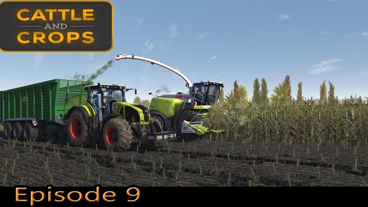 Cattle-and-Crops / Épisode 9 / Ensilage / early access 0.7 - YouTube