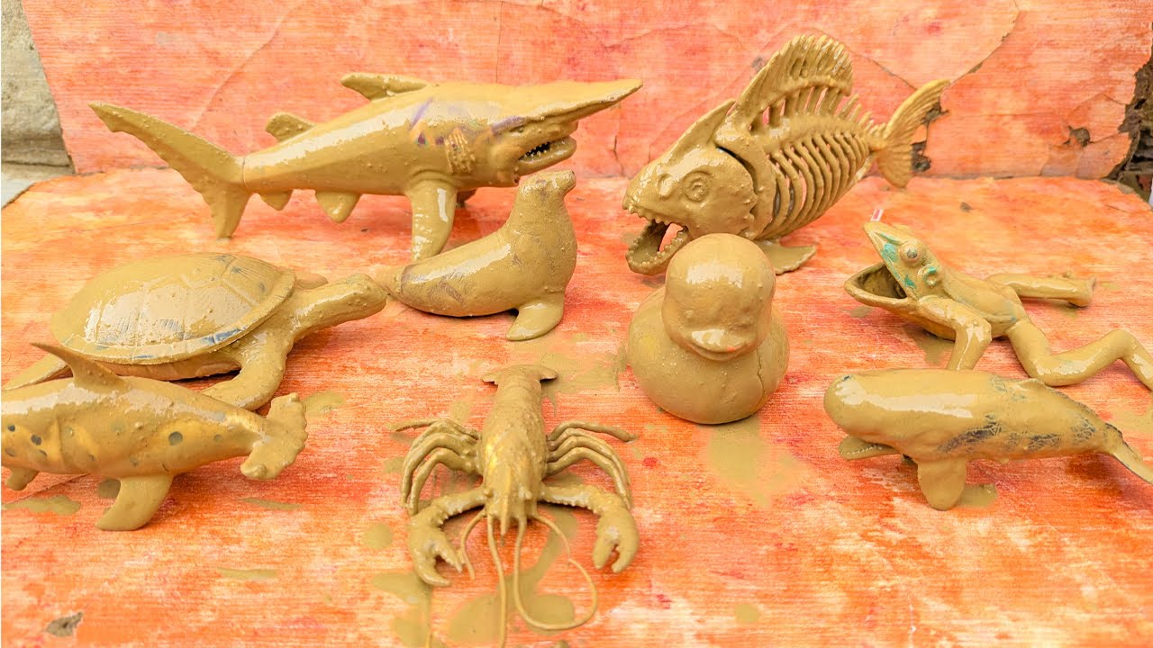 Ocean Explorers: Discovering the Sea’s Most Incredible Animals For Kids ...