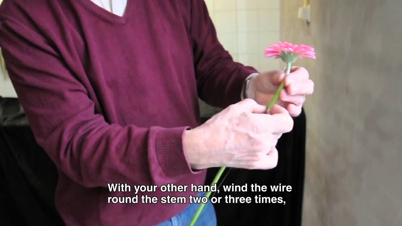 Instruction video - Strengthening flowers: Gerbera (wired on the ...